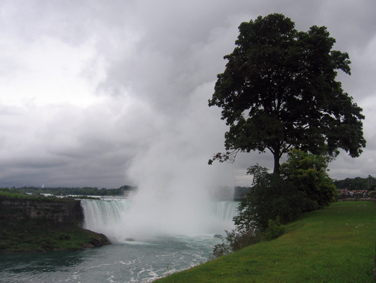Picture of The Niagara Falls With A Tree - Web Design Glasgow | SeyeneCo